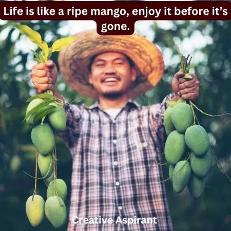 Sweet Mango Quotes, Captions, Slogans And Wishes Messages