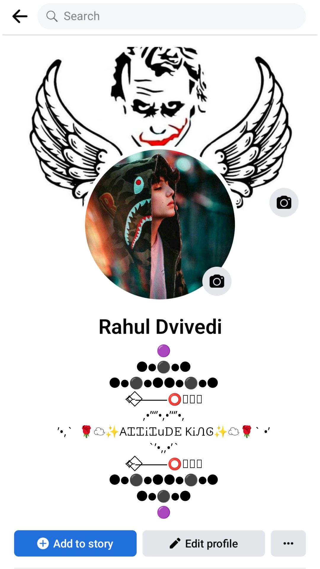 2500+ Facebook VIP Bio (Shine on Social Media)